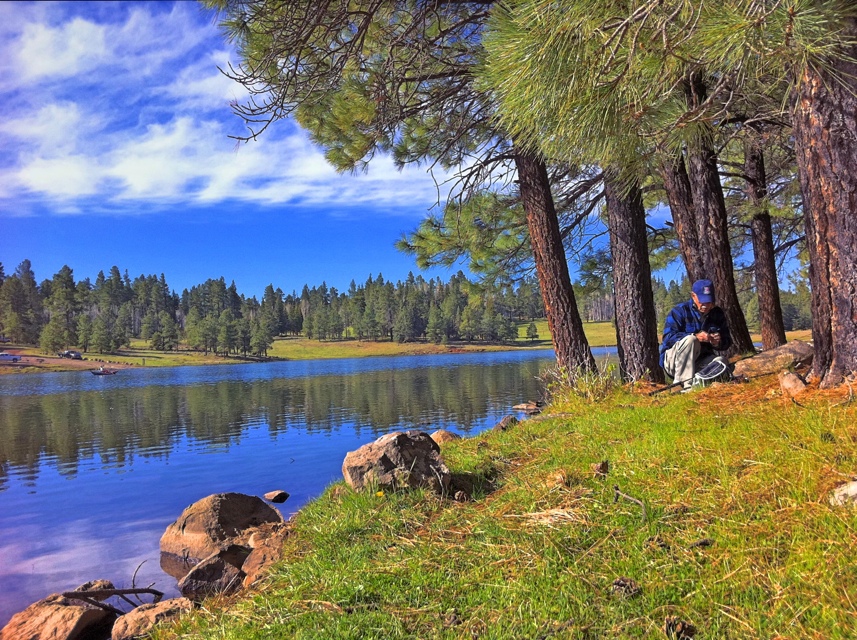 High Elevation Arizona - Zuvuya Circuit - Art by Martín Mancha